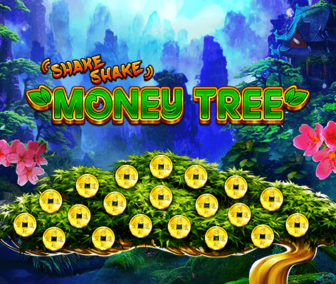 Fast-Paced, Fun & Full of Surprises | SweepNext