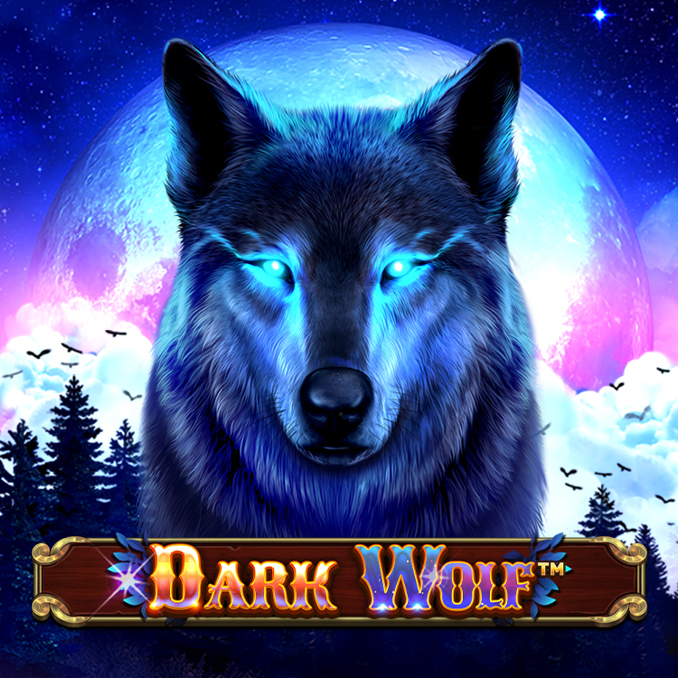 Fast-Paced, Fun & Full of Surprises | SweepNext